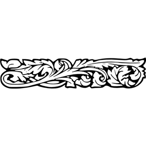 Elevator Pitch – Bonny (A Black Sails spin-off, or not)